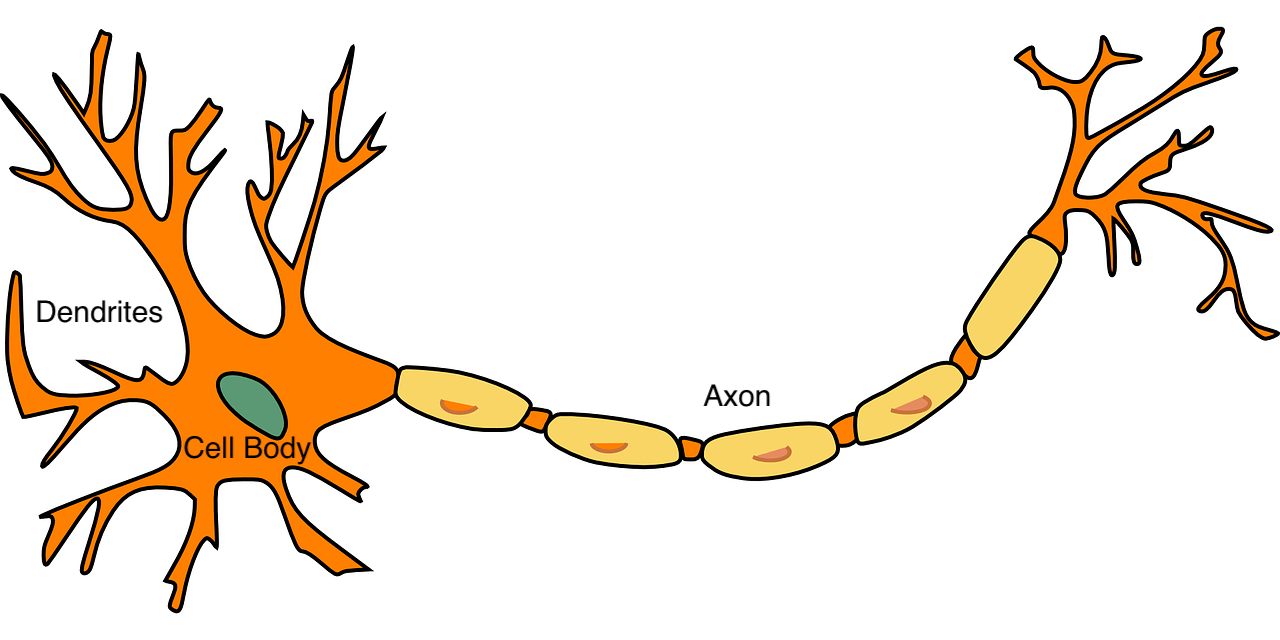 7 Popular Types of Neural Network Activation Functions - Inside ...