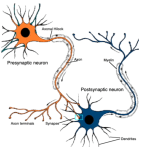 Neural Networks Explained Simply - Inside Learning Machines